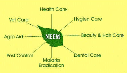 vedic-lifestyle/food/trees/neem - Indian Scriptures