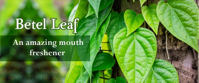 vedic-lifestyle/food/plants/betel-leaves - Indian Scriptures
