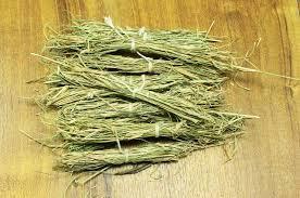 vedic-lifestyle/food/plants/durva-grass - Indian Scriptures