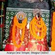 sacred-places/temples/aranya-devi-temple - Indian Scriptures