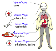 gods/devta/vayu-the-god-of-wind - Indian Scriptures